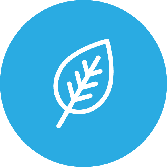 Dr. Fossum's Pet Care – CBD & Hemp for Pets & Animals