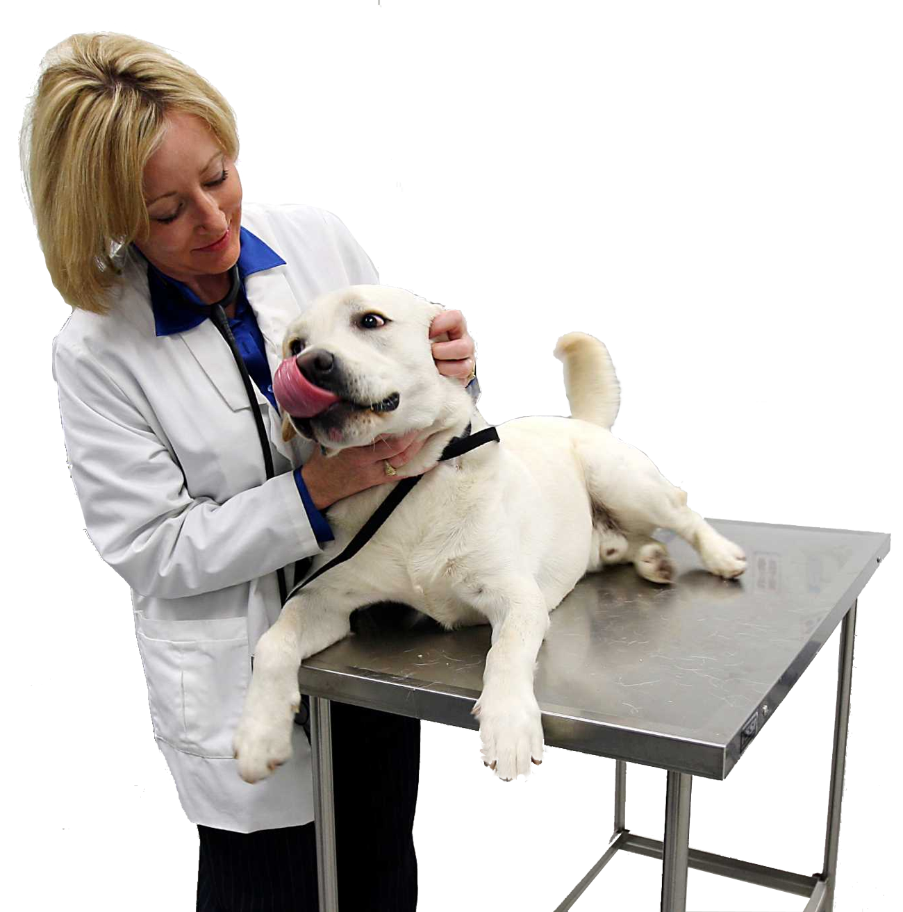 Dr. Fossum's Pet Care – CBD & Hemp for Pets & Animals