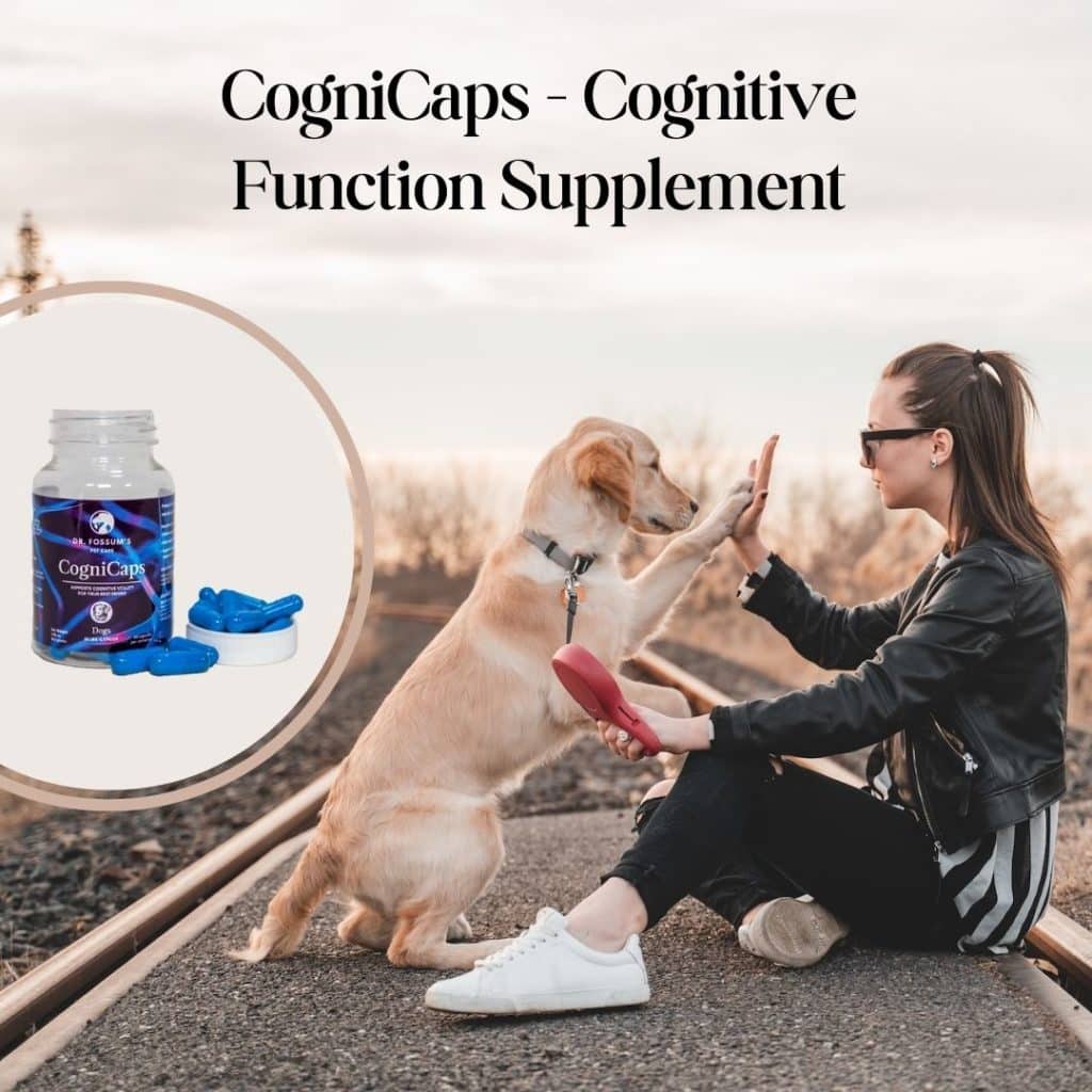 CogniCaps - Canine Cognitive Function Supplement - Dr. Fossum's