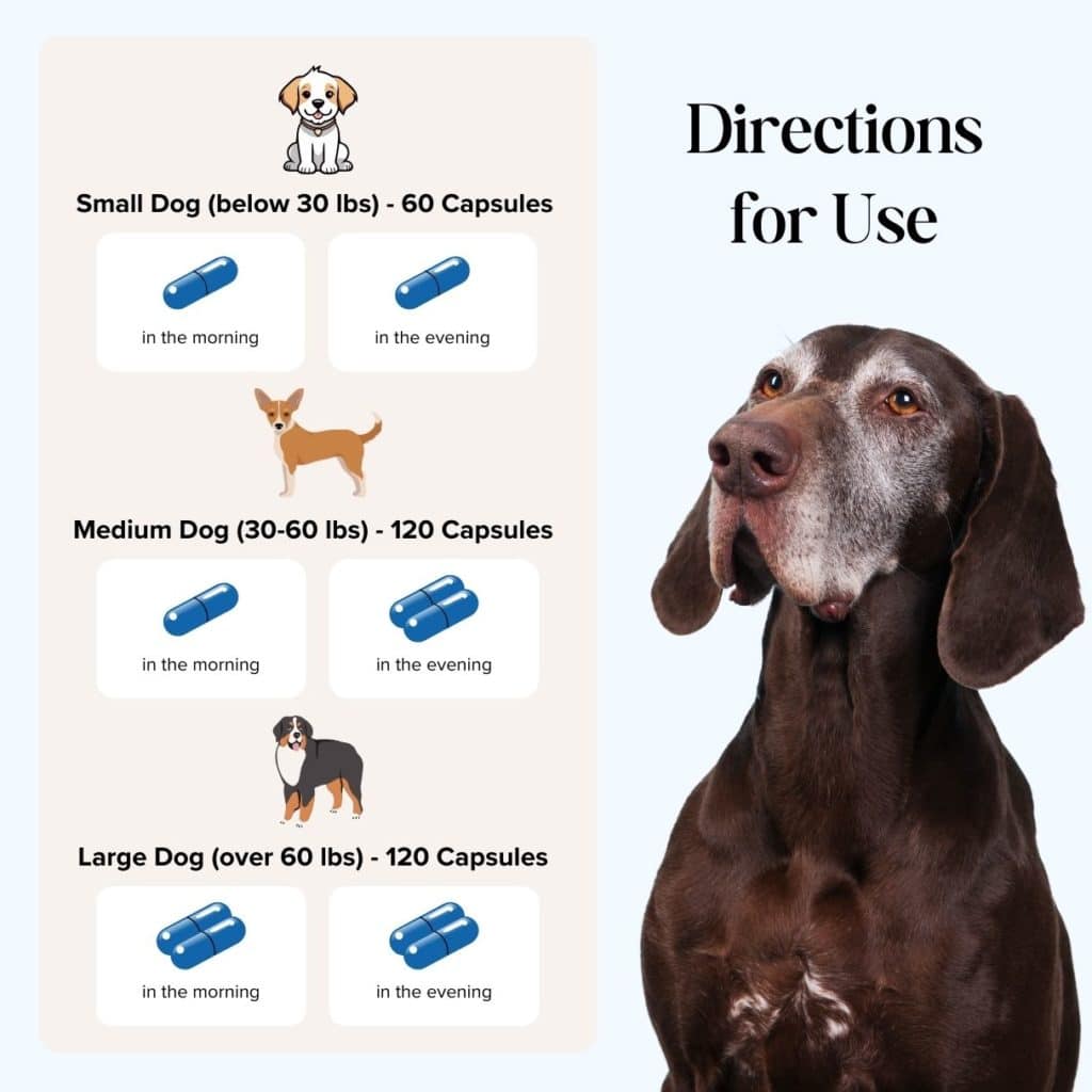 CogniCaps - Canine Cognitive Function Supplement - Dr. Fossum's