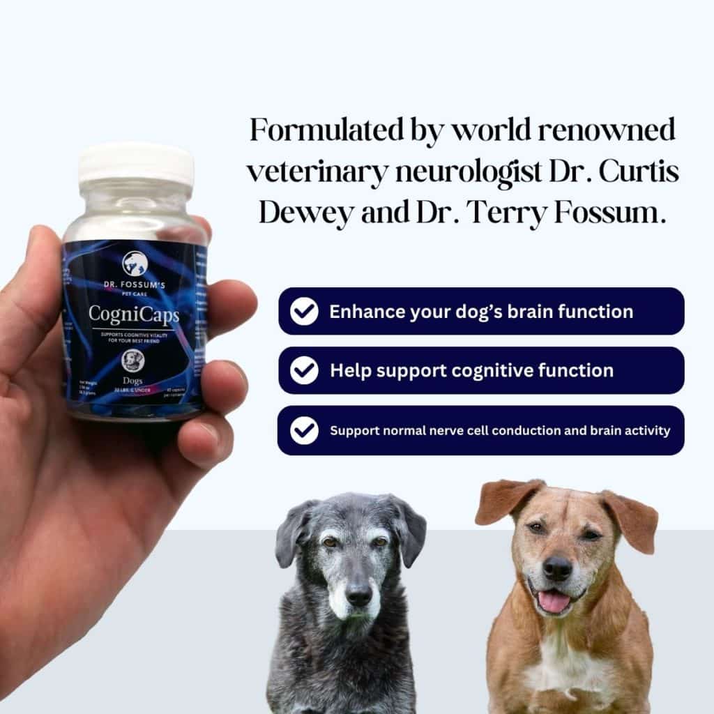 CogniCaps - Canine Cognitive Function Supplement - Dr. Fossum's