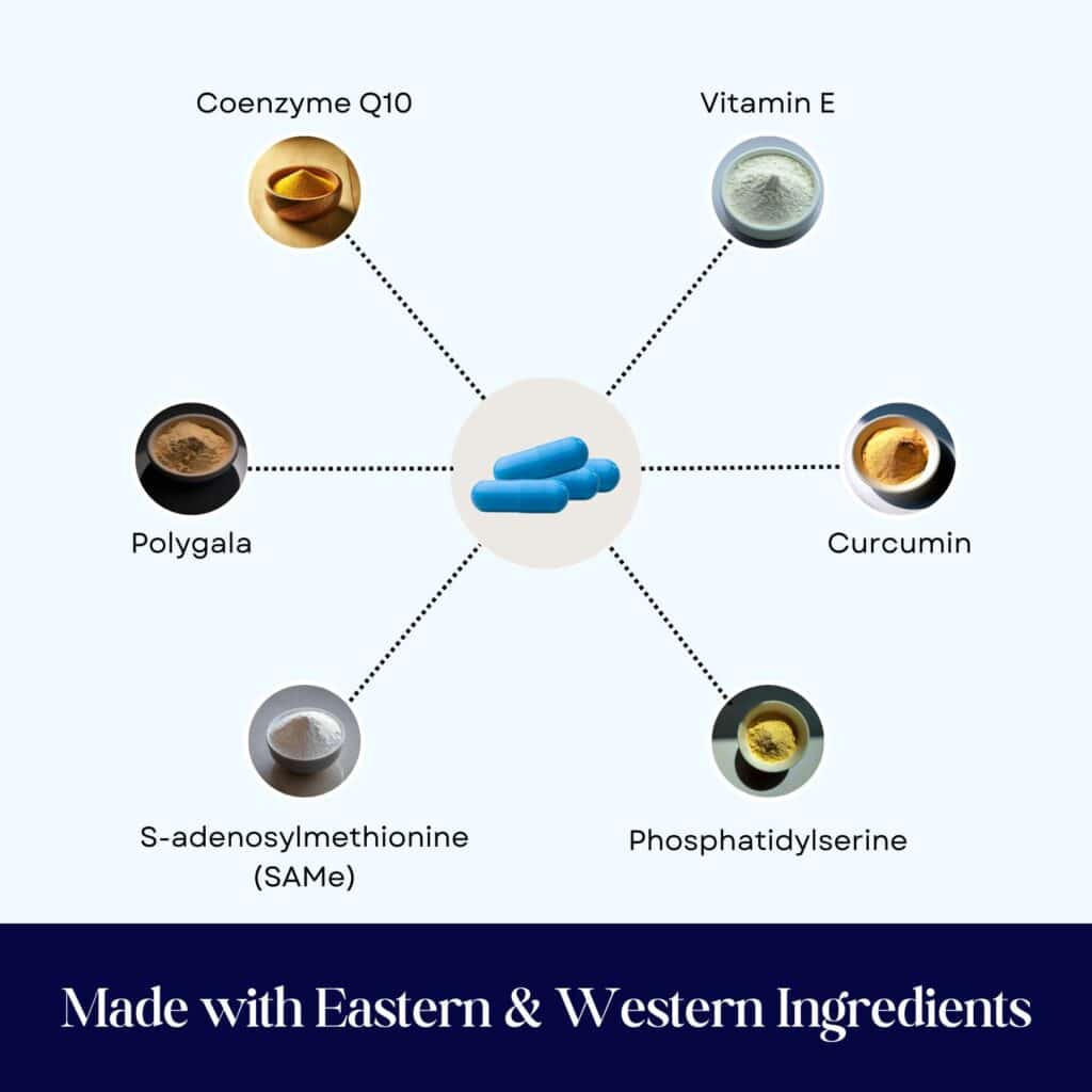 CogniCaps - Cognitive Supplement for Senior Dogs | Dr. Fossum's