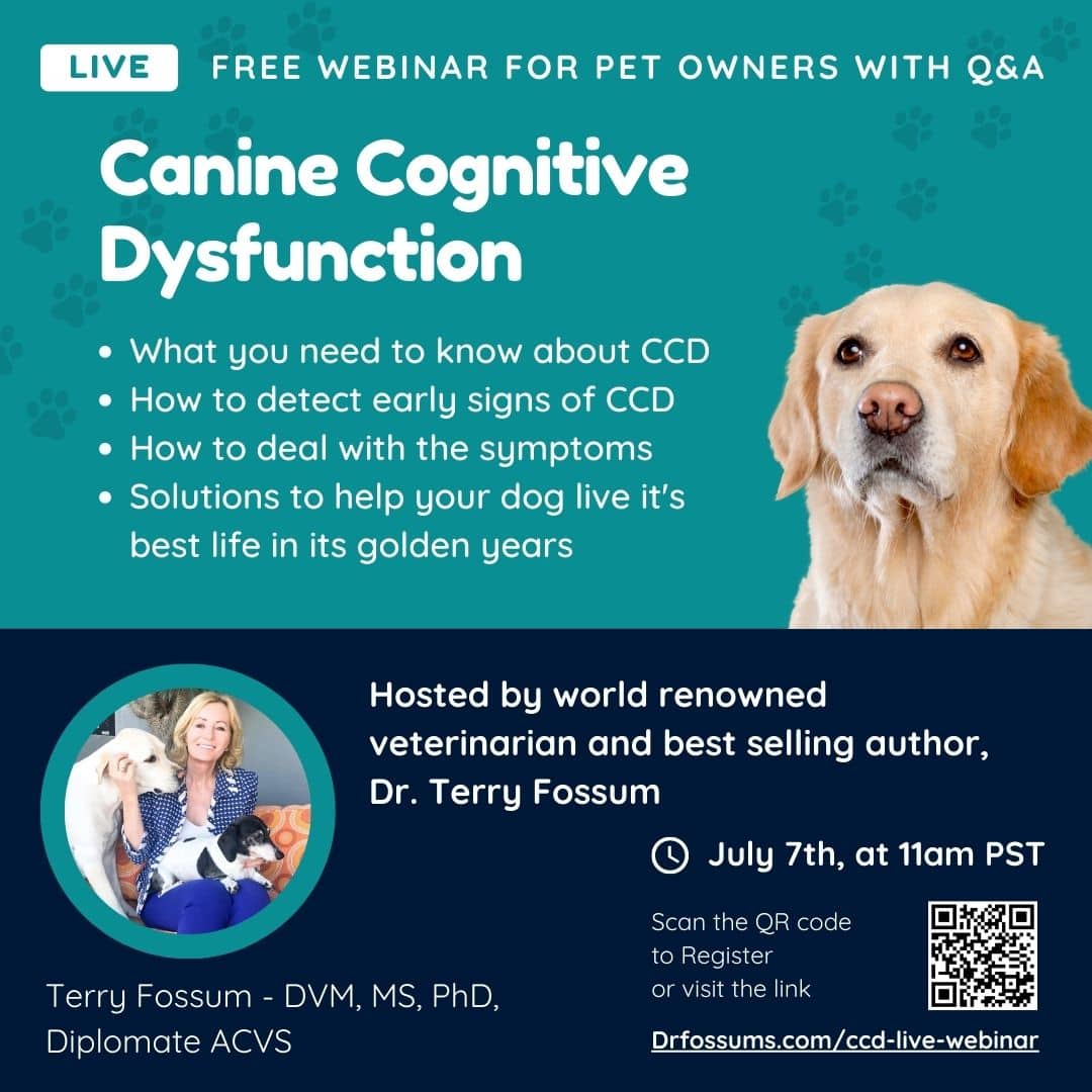 CCD Live Webinar - Dr. Fossum's Pet Care