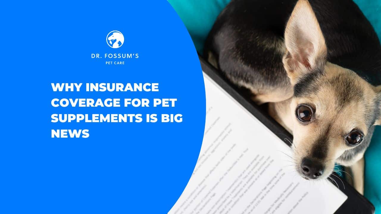 Why Insurance Coverage for Pet Supplements is Big News - Dr. Fossum's ...