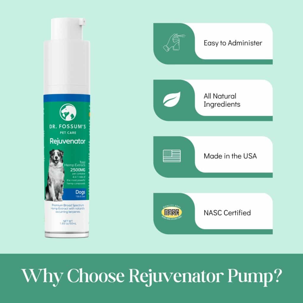 Rejuvenator Hemp Extract Supplement Pump for Dogs 6 lbs & Over - Dr ...